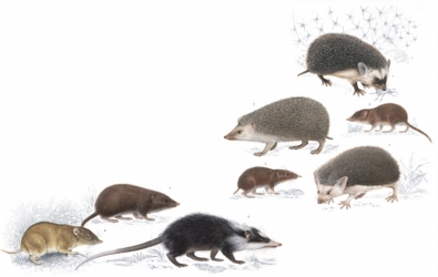 The Yocum Library Blog: Fact of the Day