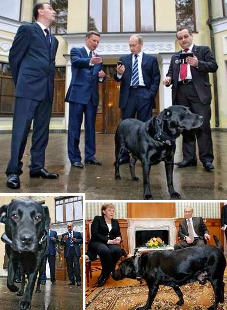 Vladimir Putin: Russia’s Top Dog Is A Party Animal