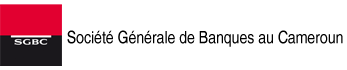 Mobile Money Services In Cameroon - RANSBIZ