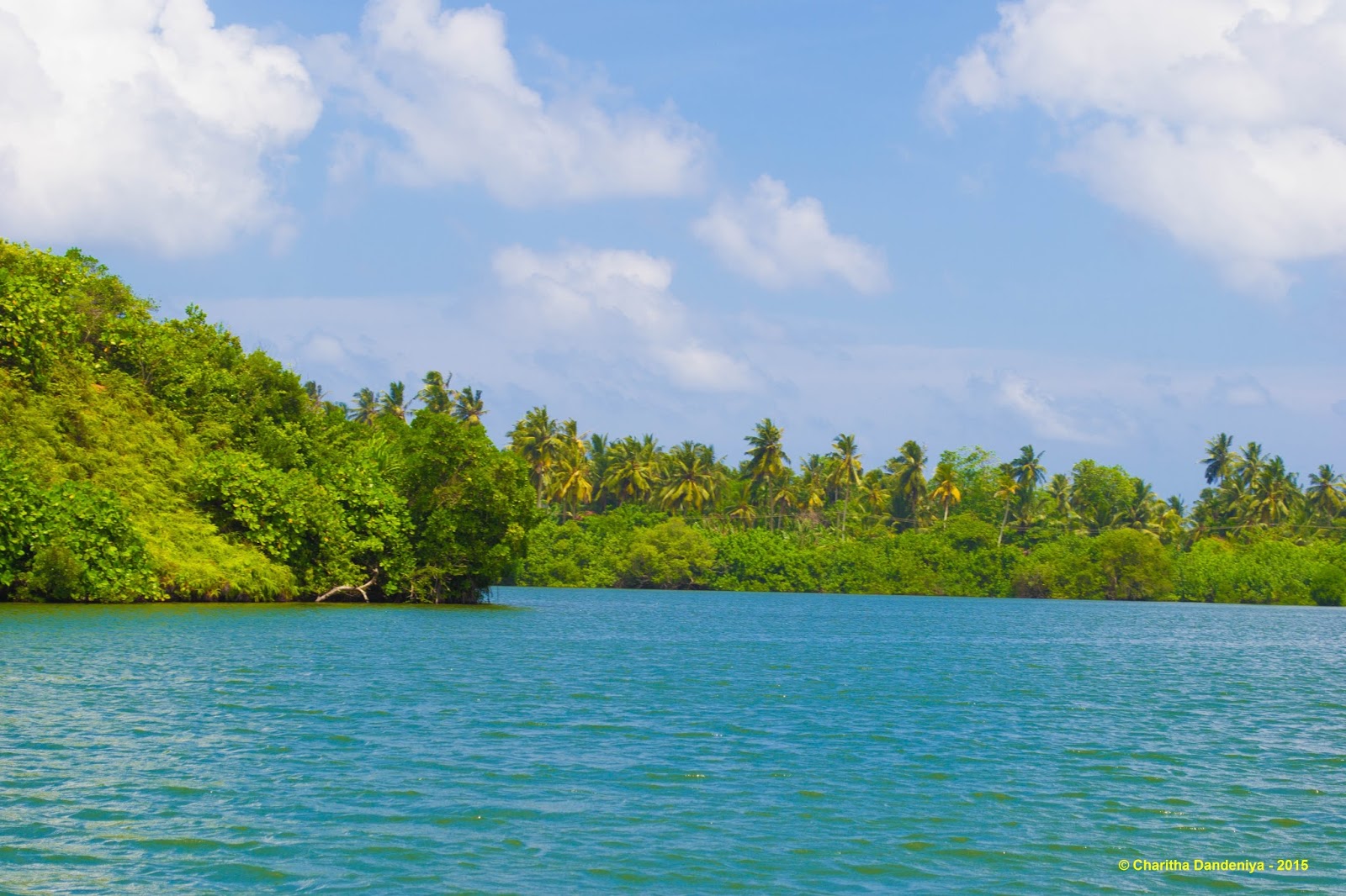 Charitha Dandeniya: Koggala Lake and Madol Duwa, Sri Lanka ~ 01 ...