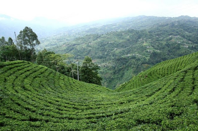 Potentiality of Eco-tourism in Ilam: The Green City Among World ...