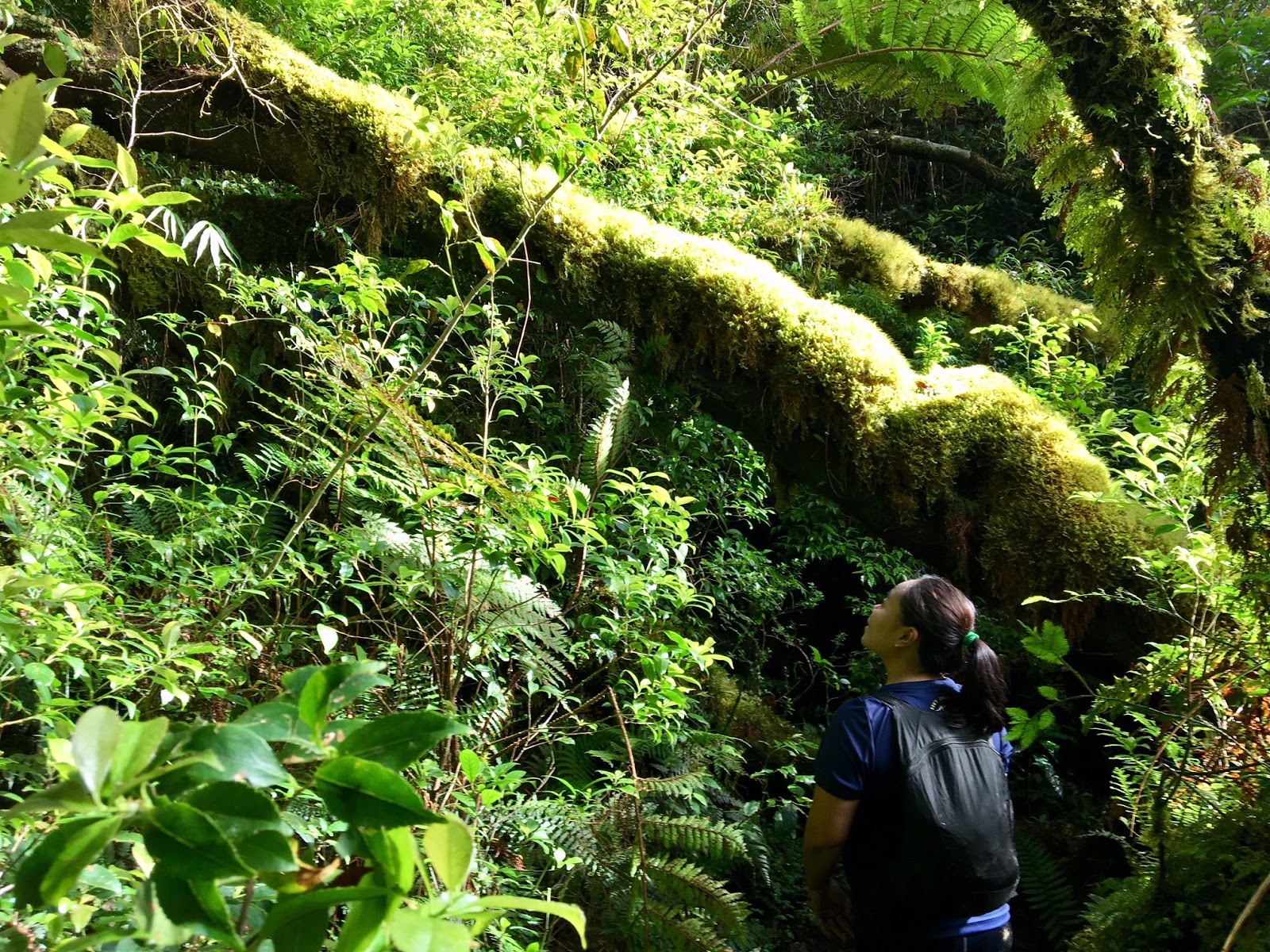 Mount Banahaw De Lucban