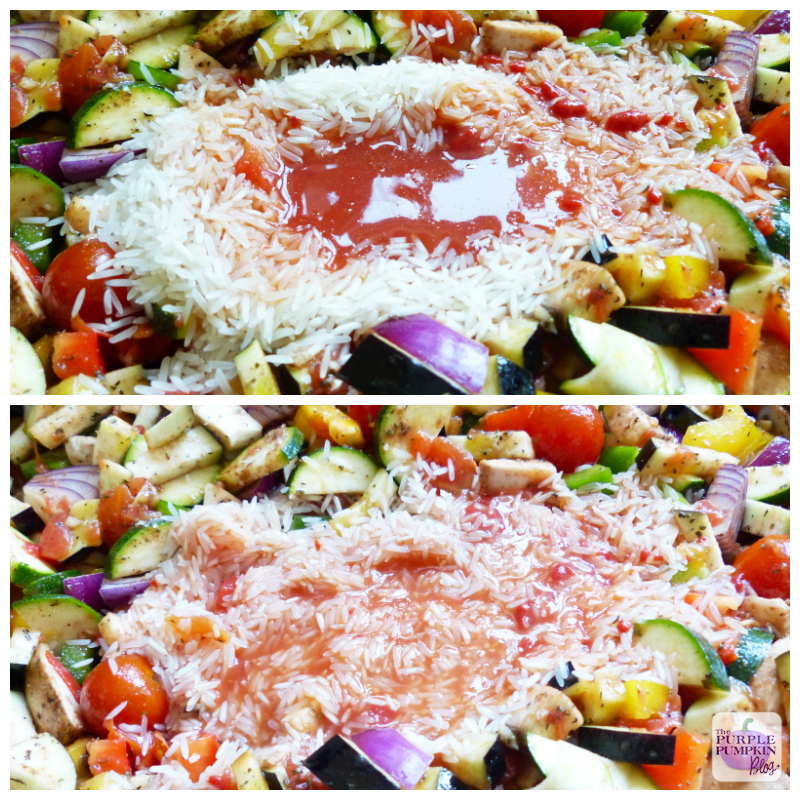 Oven Baked Vegetable + Rice Salad