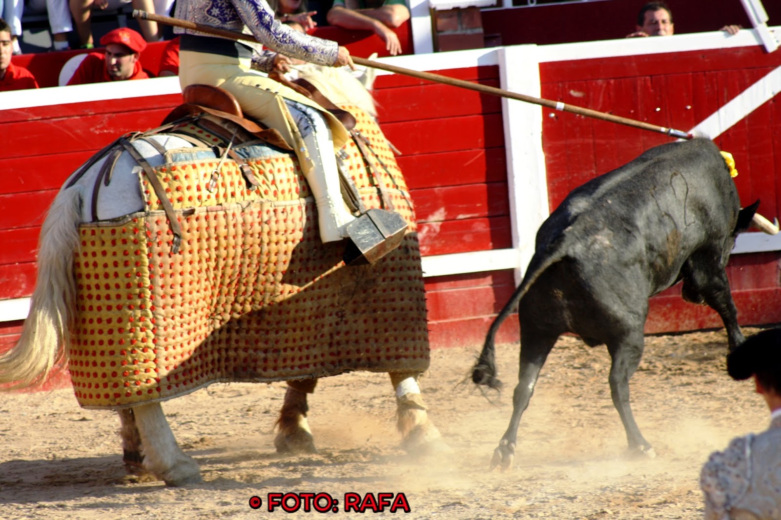 Toreo en Red Hondo: TOROS DE VAZ MONTEIRO EN SANGÜESA