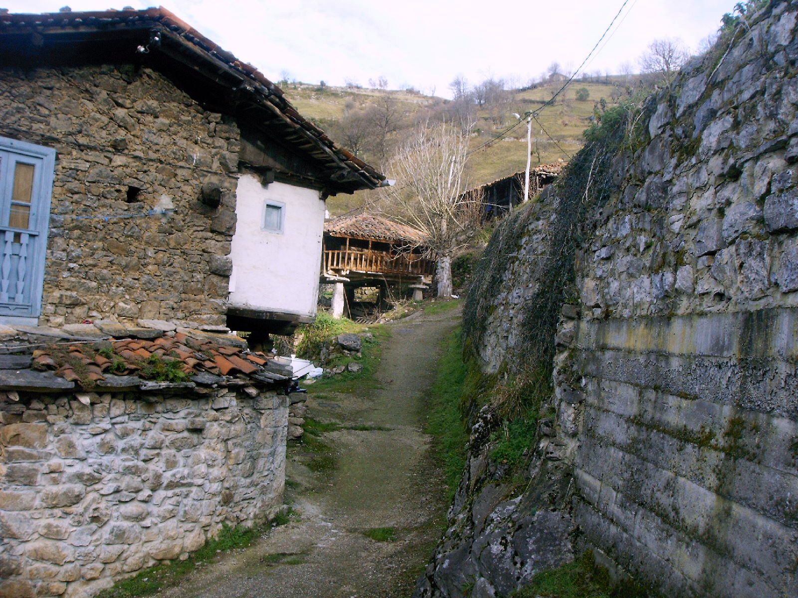 TROTONES: Buyera - Serandi - Pedroveya - Las Xanas - Buyera