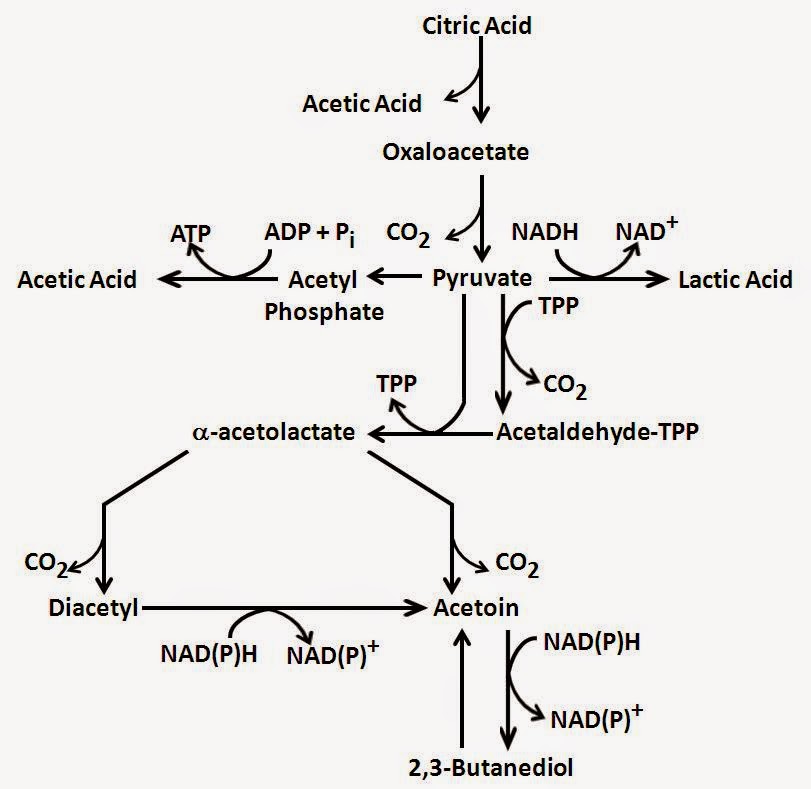 EnoViti: 03/01/2015 - 04/01/2015