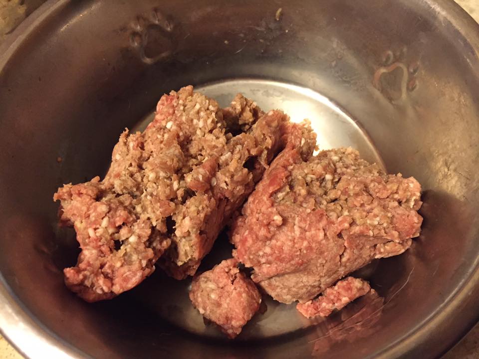 My Rotten Dogs: Recent Raw Meals