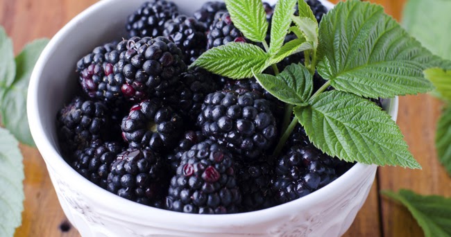 FRUTAS BRASIL: Propiedades Nutricionais da Amora