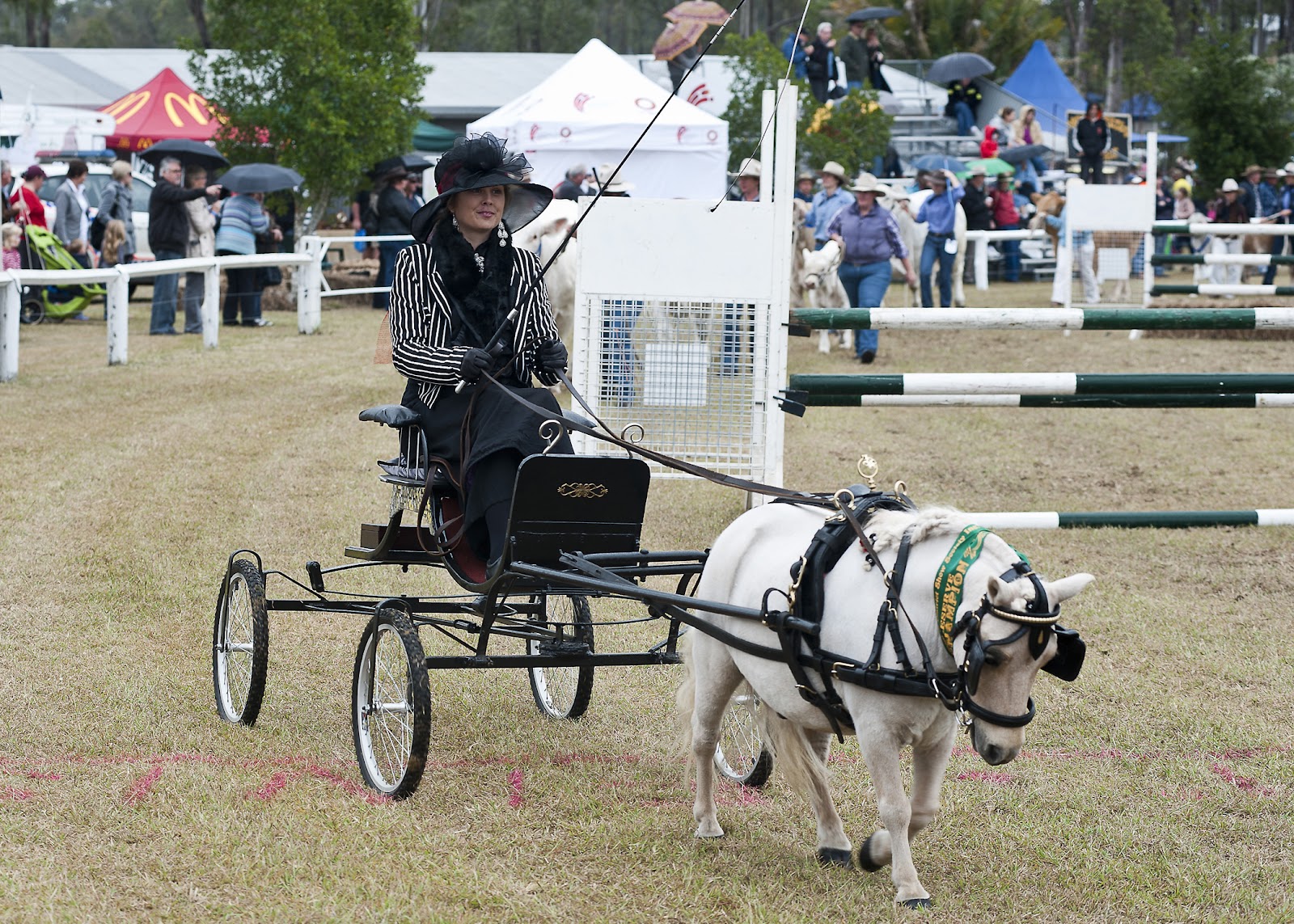 Mt Larcom Agricultural Show