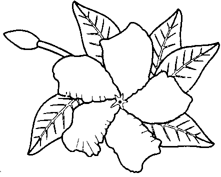 Sekitar Kawasan Sekolah: Gambar Outline_Bunga Pokok