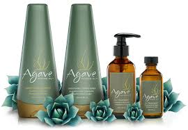 Ica Garcia: TRATAMIENTO DE AGAVE