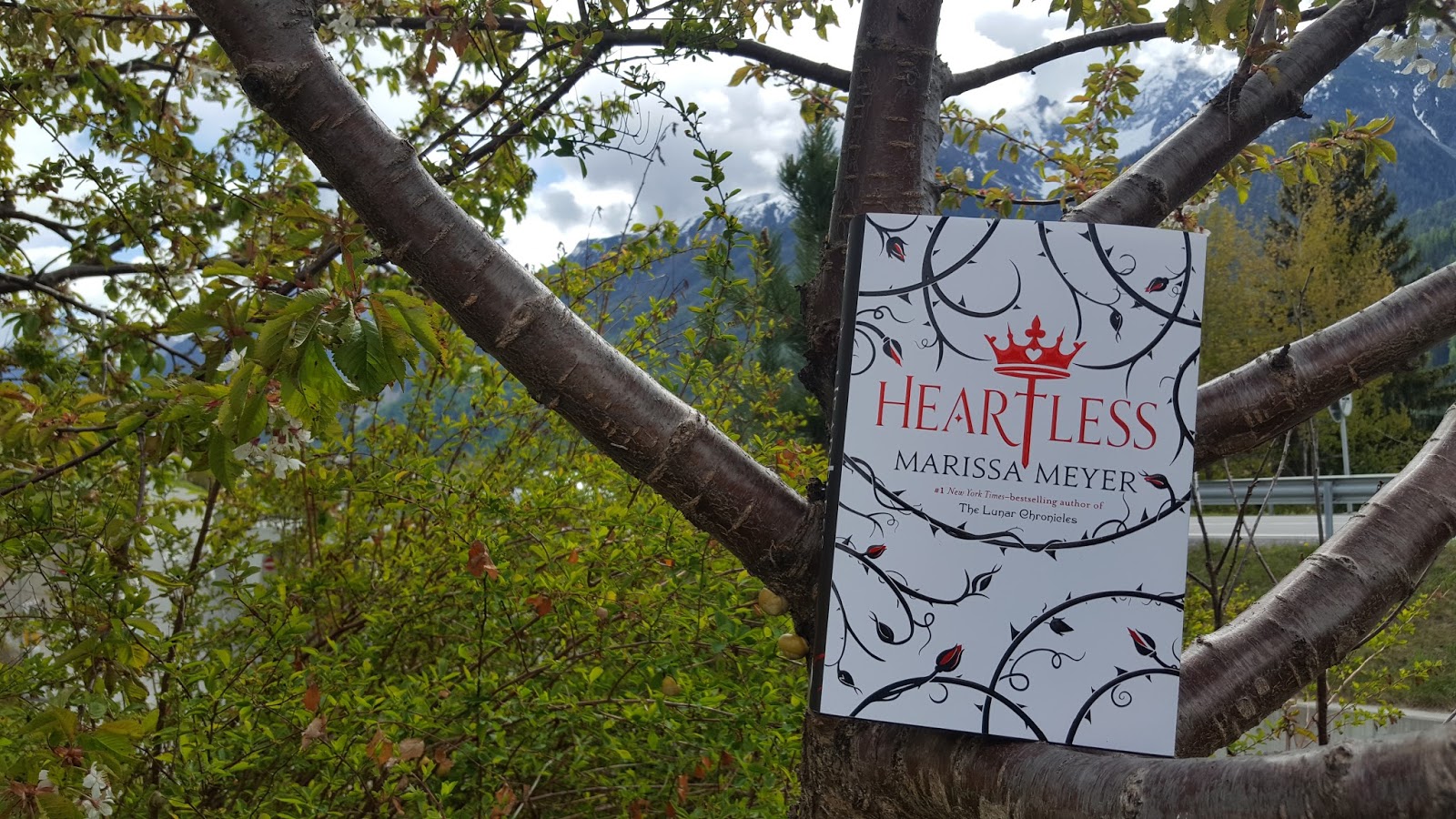 Rezension | Heartless by Marissa Meyer - Books, Histories and Secrets