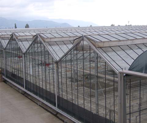 Antalya'da Seracılık « Modern Seracılık Modern TarımModern Seracılık