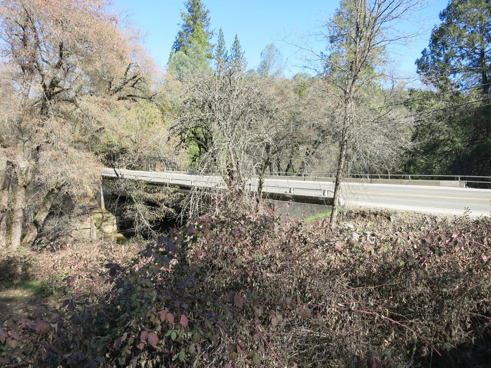 Bridge of the Week: February 2013