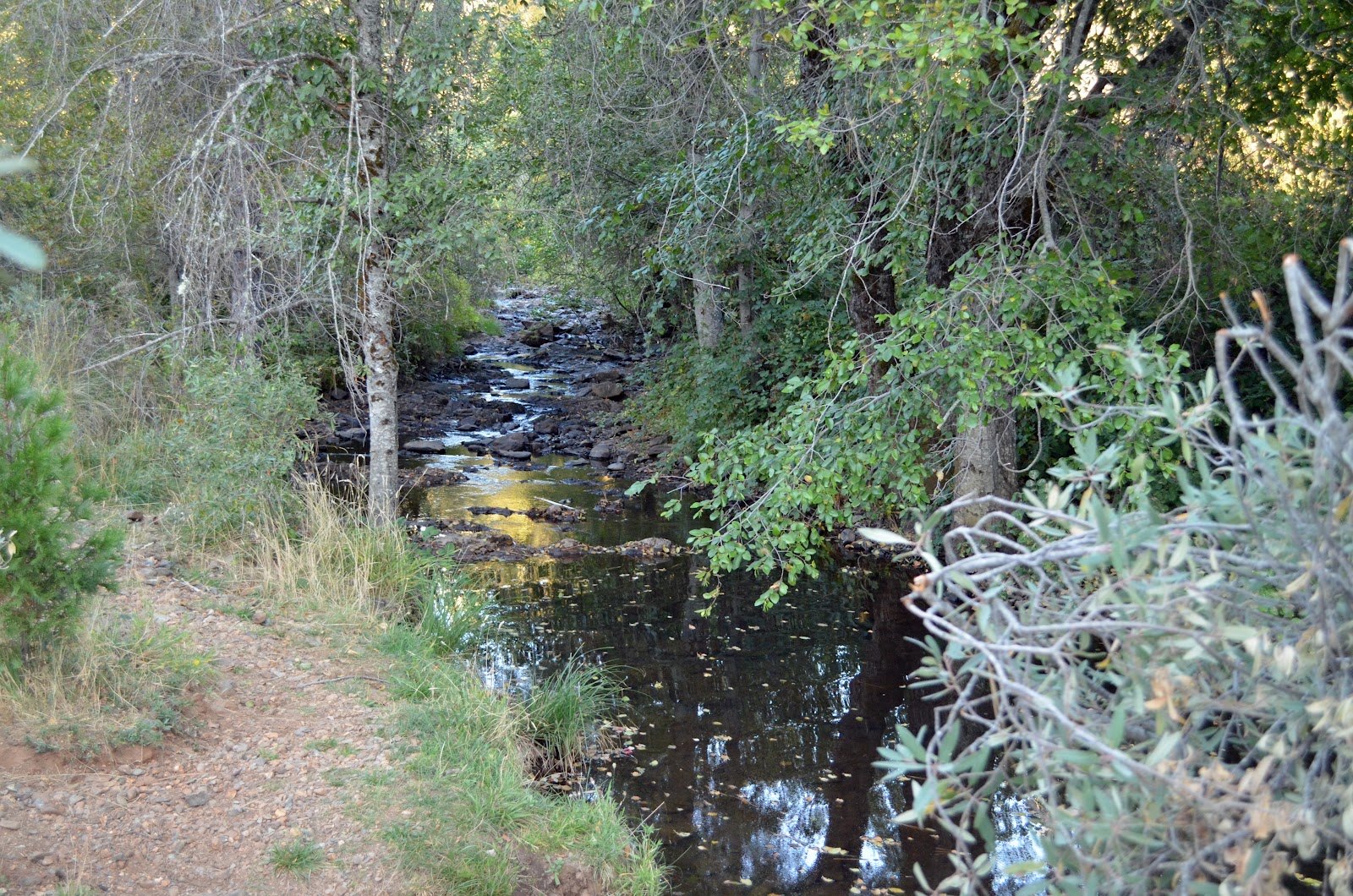 Discovering Ranch Life: Stifle Claim and Traverse Creek Loop Trail