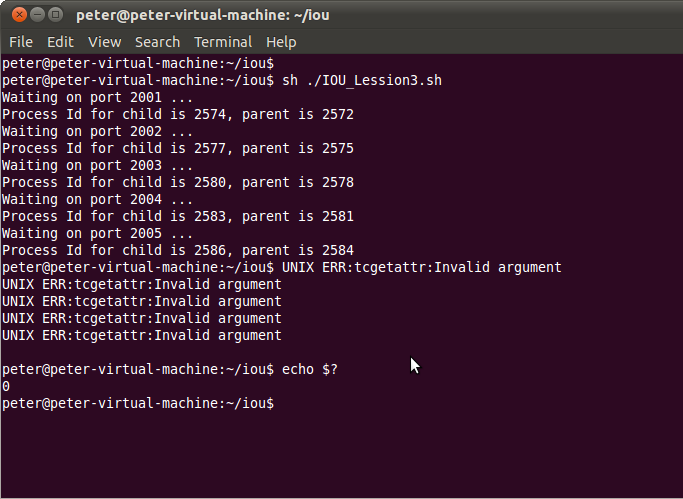 CCIE-RS Lab IOU Lession 3: How to use the wrapper-linux to run multiple ...