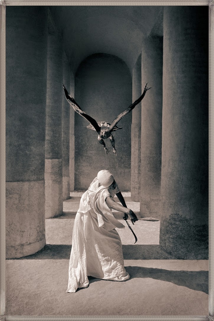 Ostáriz Art Gallery: Gregory Colbert