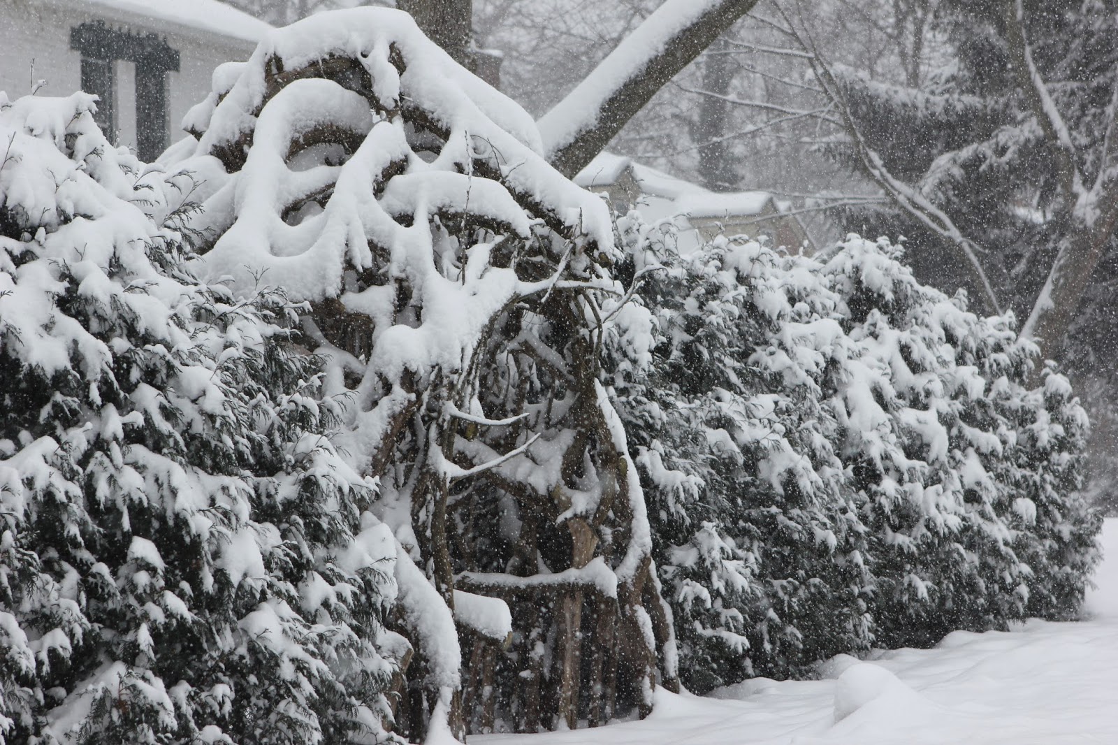 Romancing the Home: Mother Nature's Snow Icing