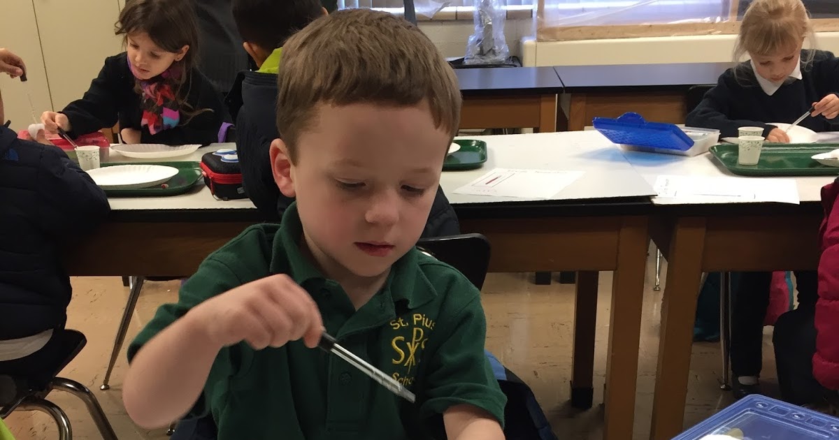St. Pius Kindergarten: Science Lab