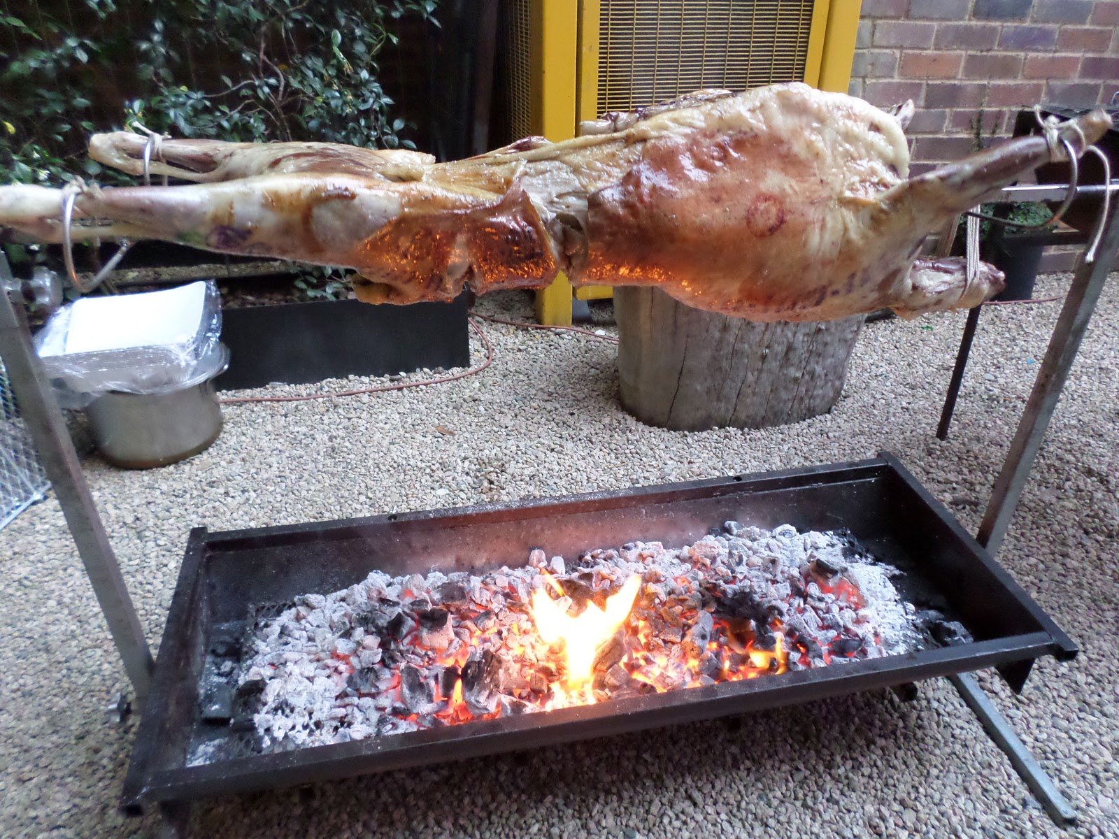 Braai Winkel: Lamb Spit Braai for 60 People