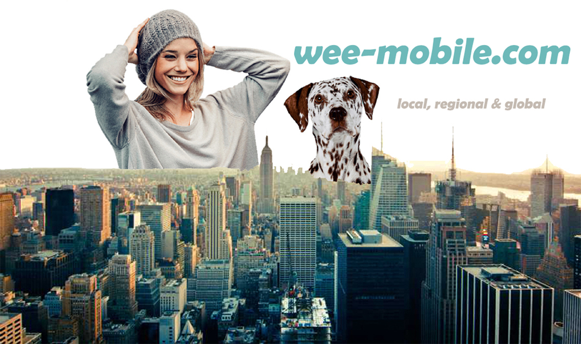 Kulturelles Guldental: wee.com I Mobile Payment Markets I Das Bonus ...