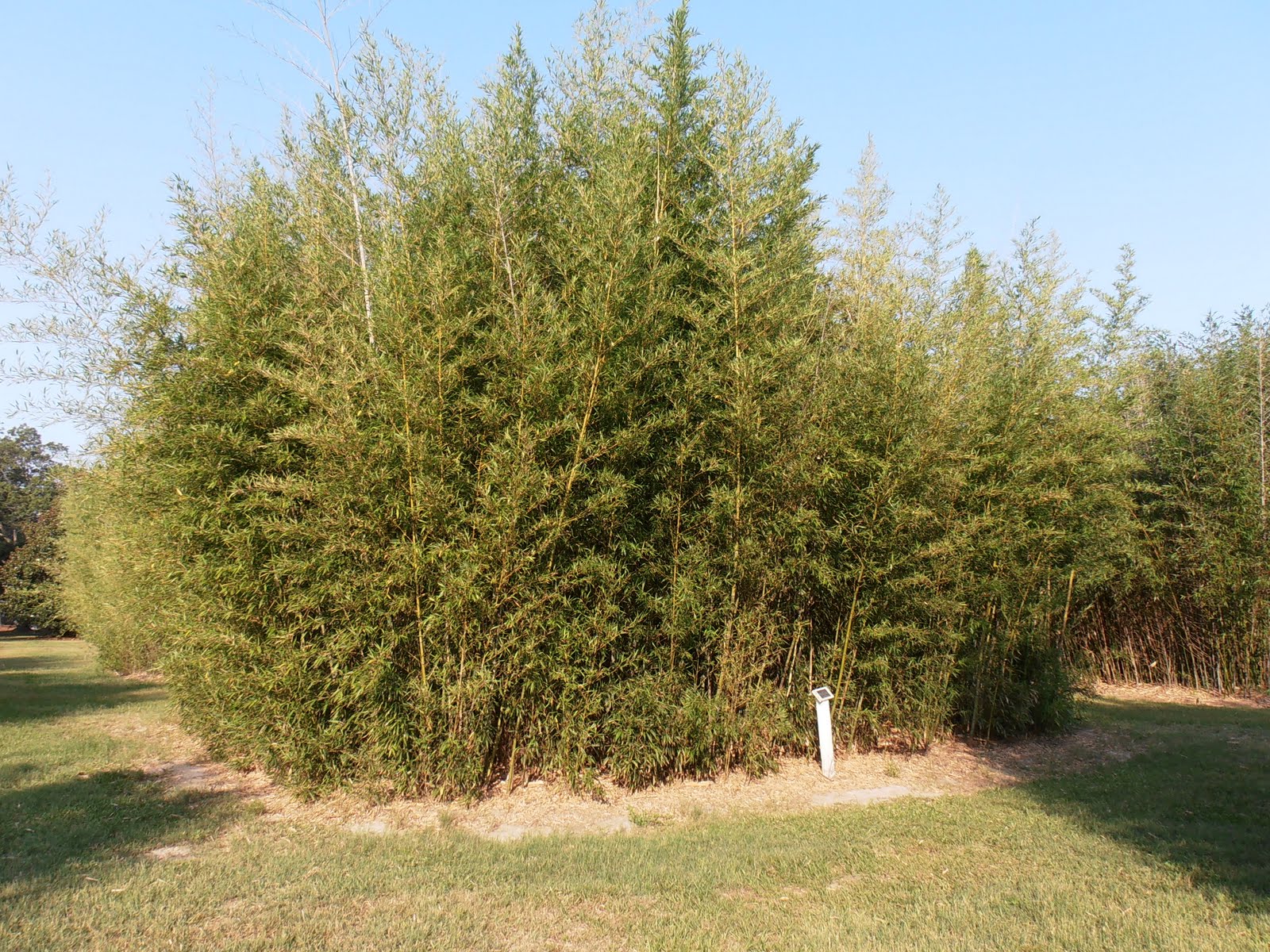 Eric Eggen'sTrek Around the USA: Savannah, GA