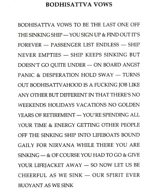 Zenosaurus: John Tarrant's Course in Koans