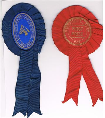 Welsh Cob Shop: Memorabilia