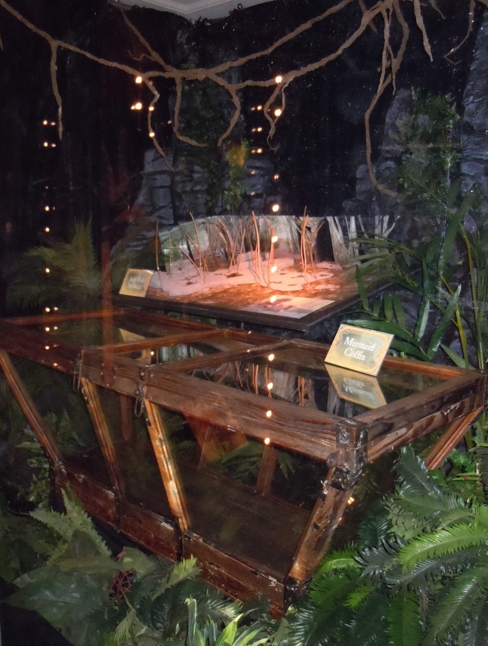 Pirates Of The Caribbean On Stranger Tides Mermaid Scene