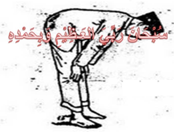 HIKMAH RUKUK DALAM SHALAT - DARUS SYIFA