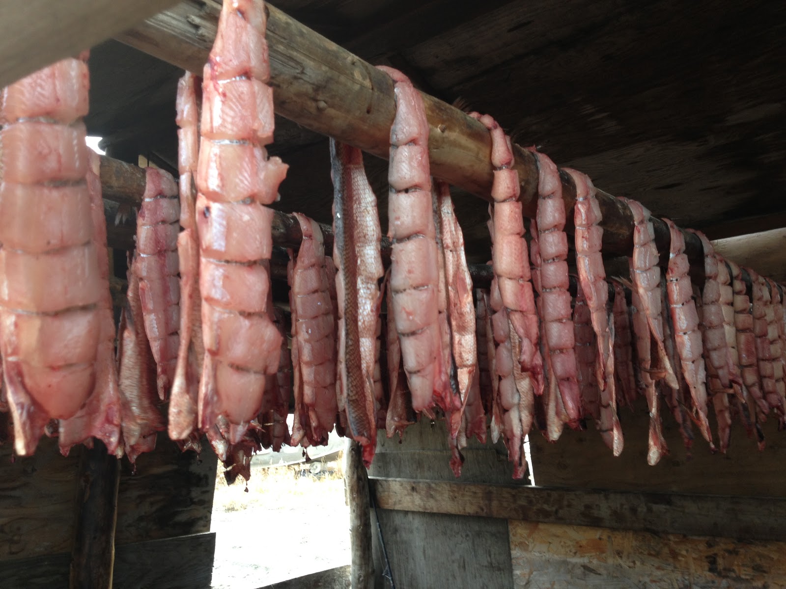 Adventures in Alaska: Wrestling in Emmonak