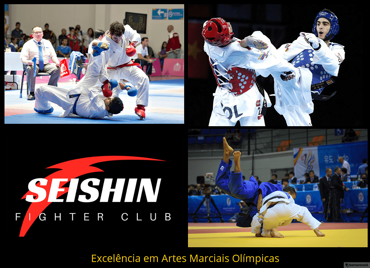 Blog da Seishin Karate-Do Kyokai: junho 2018