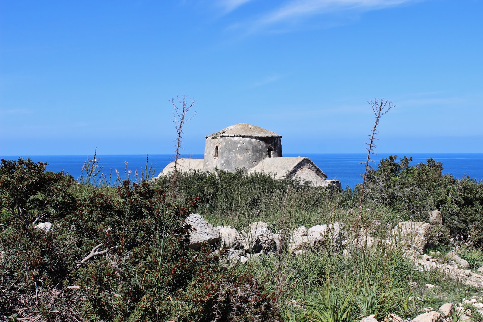 Biodiversity of Cyprus by NGO Protection of the Natural Heritage and ...