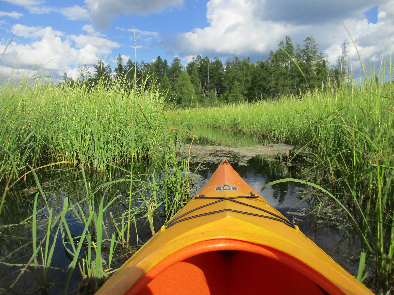 Dave's Yak Tales: Little Spider Lake, Day 5