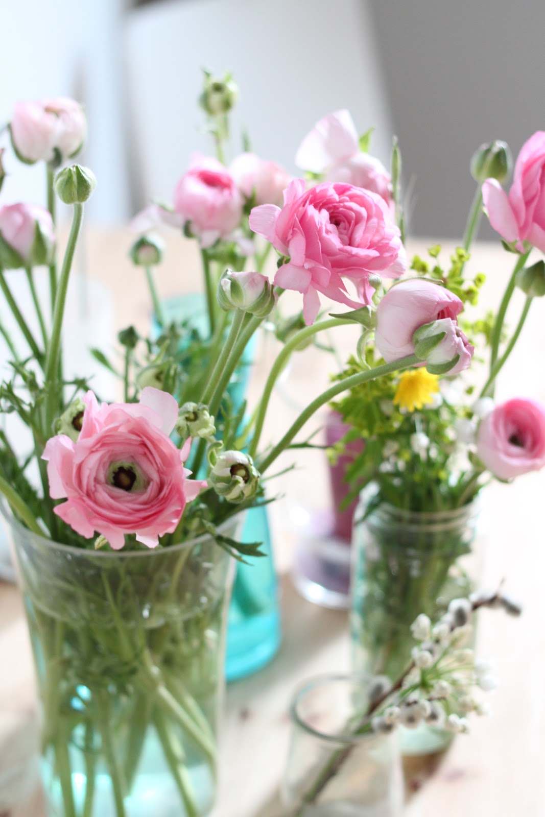 Flowers: ranunculus - Seaofgirasoles