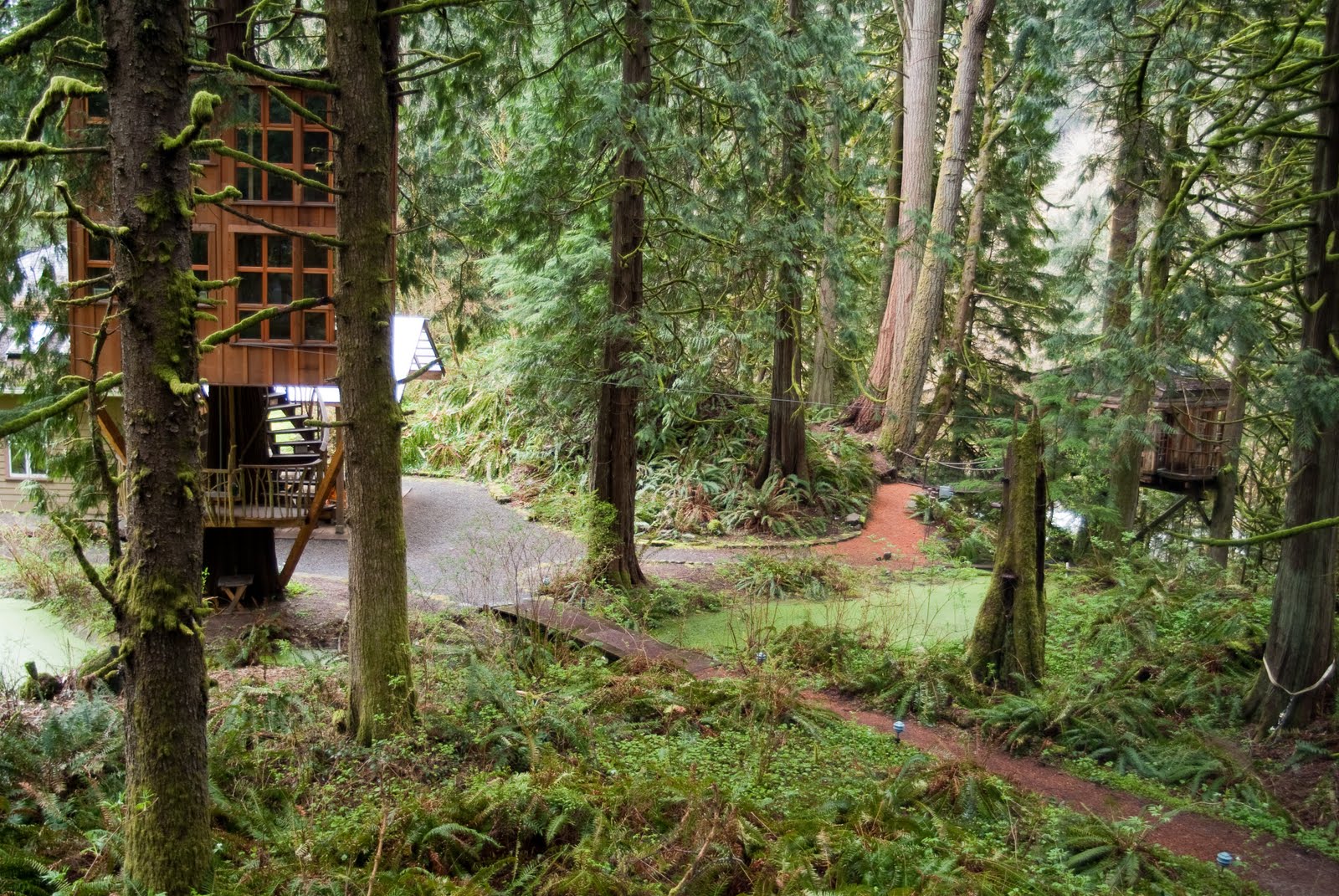 This is something I saw once.: Treehouse Point Weekend, Fall City