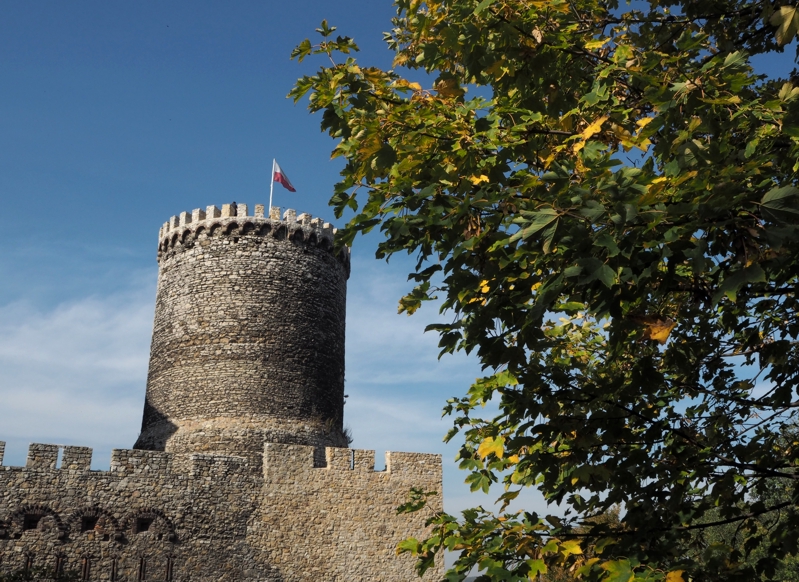 Filifionka: Królewski Zamek Będziński