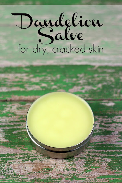 15 Amazing Homemade Salve Recipes - Everything Pretty