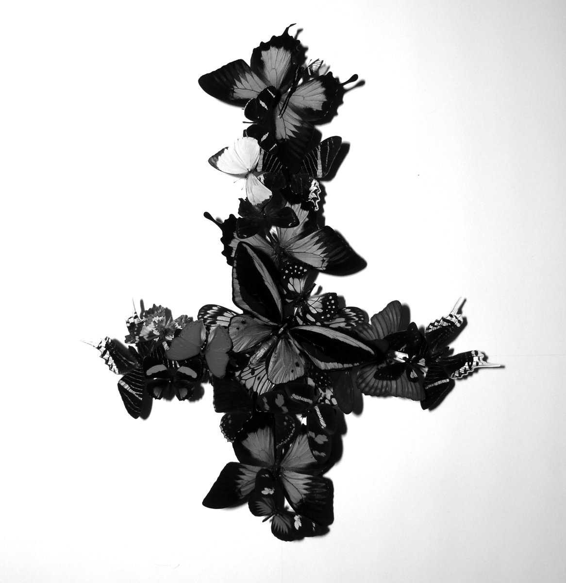 The Sludgelord: ALBUM REVIEW: Monarch - "Never Forever"