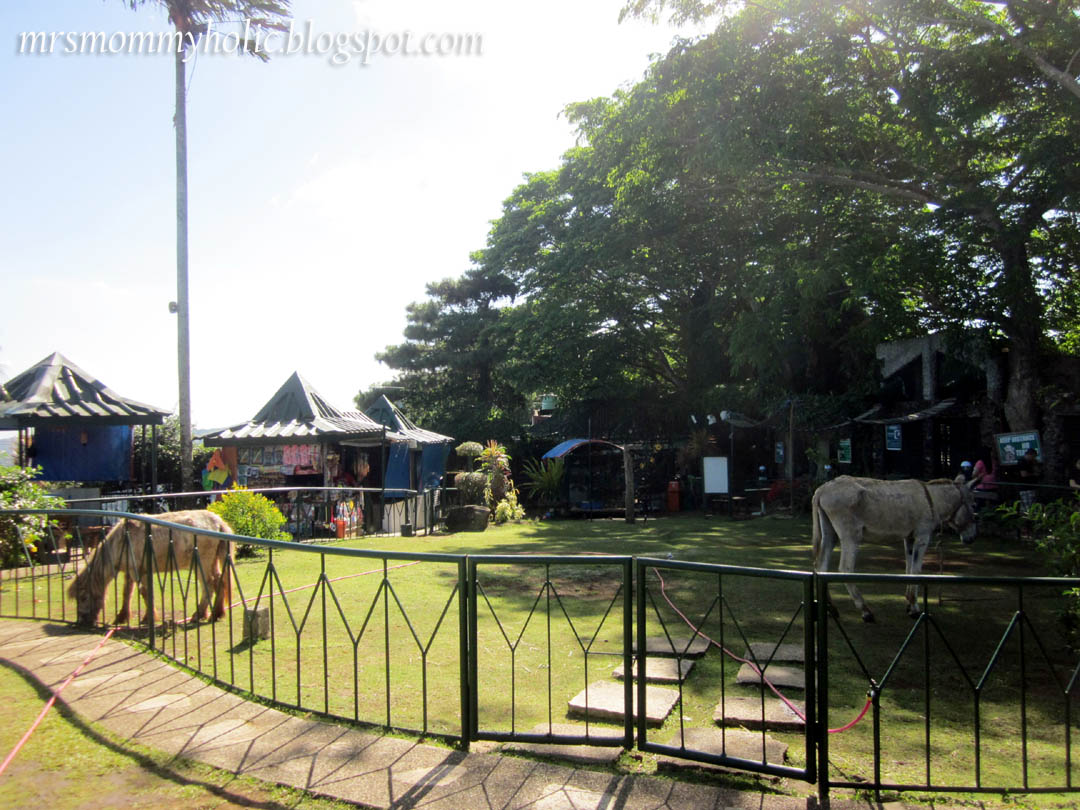 MrsMommyHolic: Residence Inn Zoo in Tagaytay