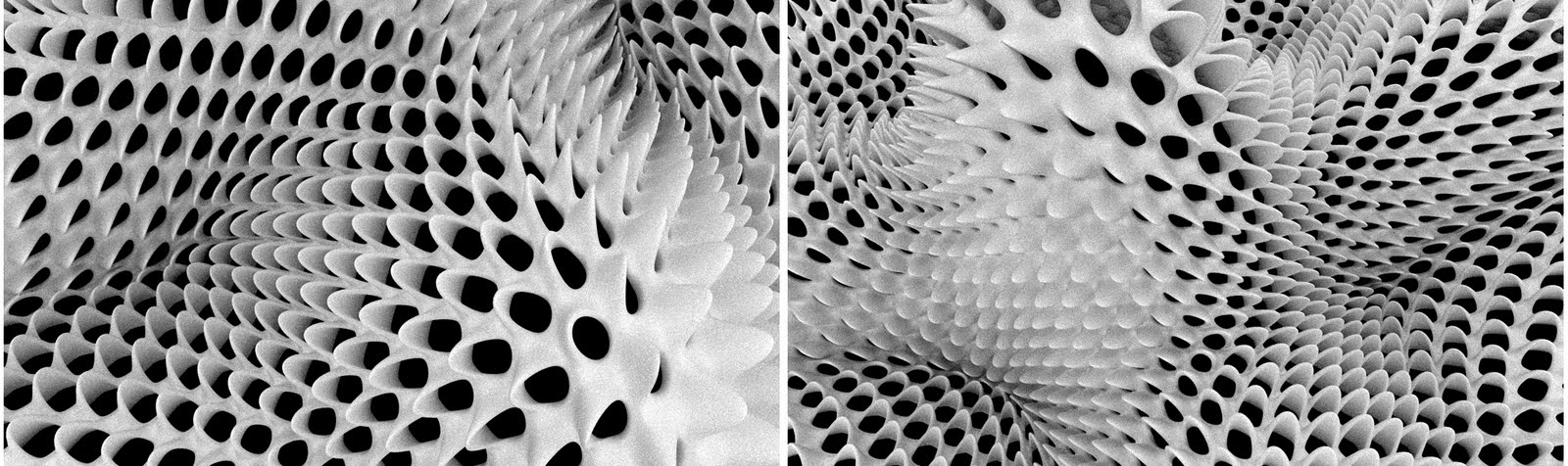 MADEinCALIFORNIA ///Co.De.: Quad mesh component//