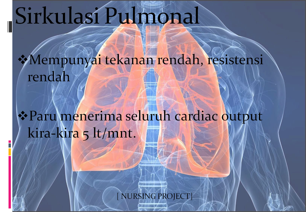 NURSING PROJECT: ANATOMI DAN FISIOLOGI SISTEM RESPIRASI