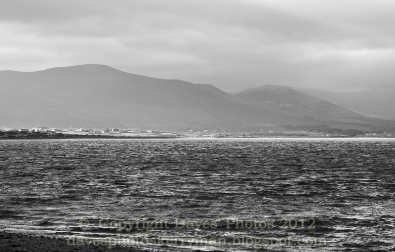 Daves' Photos: A STUDY IN BLACK & WHITE AT LOWER CROMANE