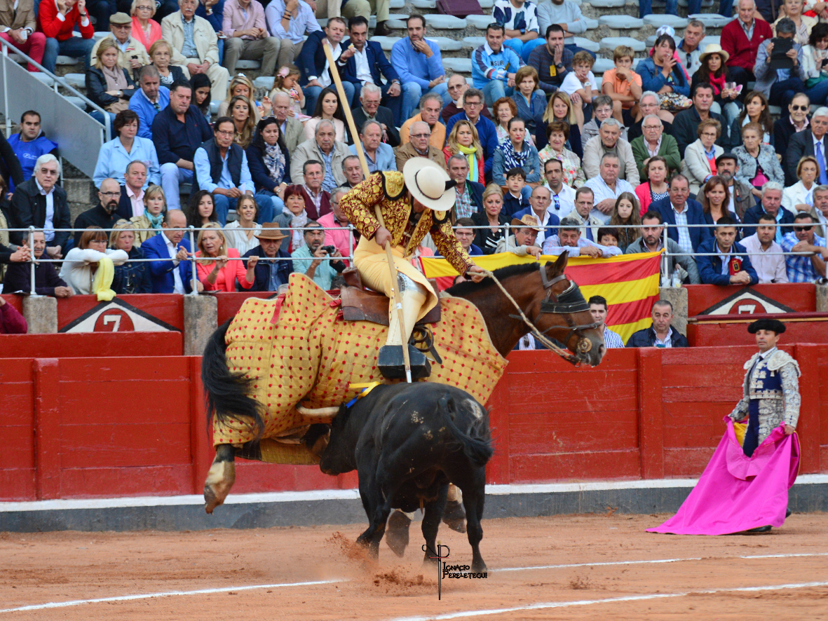 La Suerte Natural: CORTESANO DE MONTALVO TORO DE ORO 2015