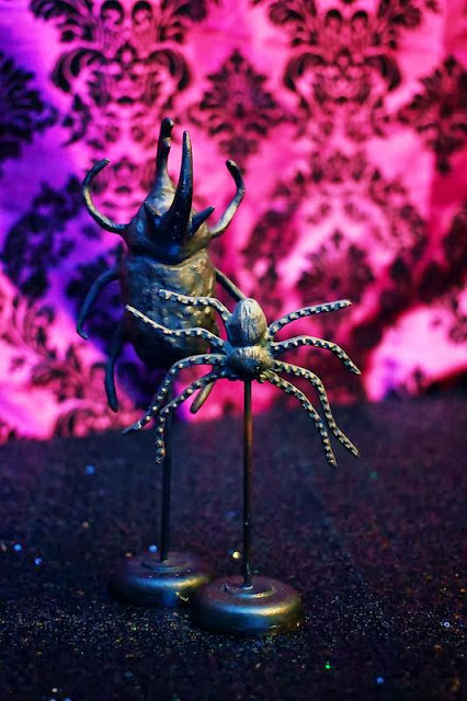 Capes & Crowns: Holy Monster'mony Set Up!