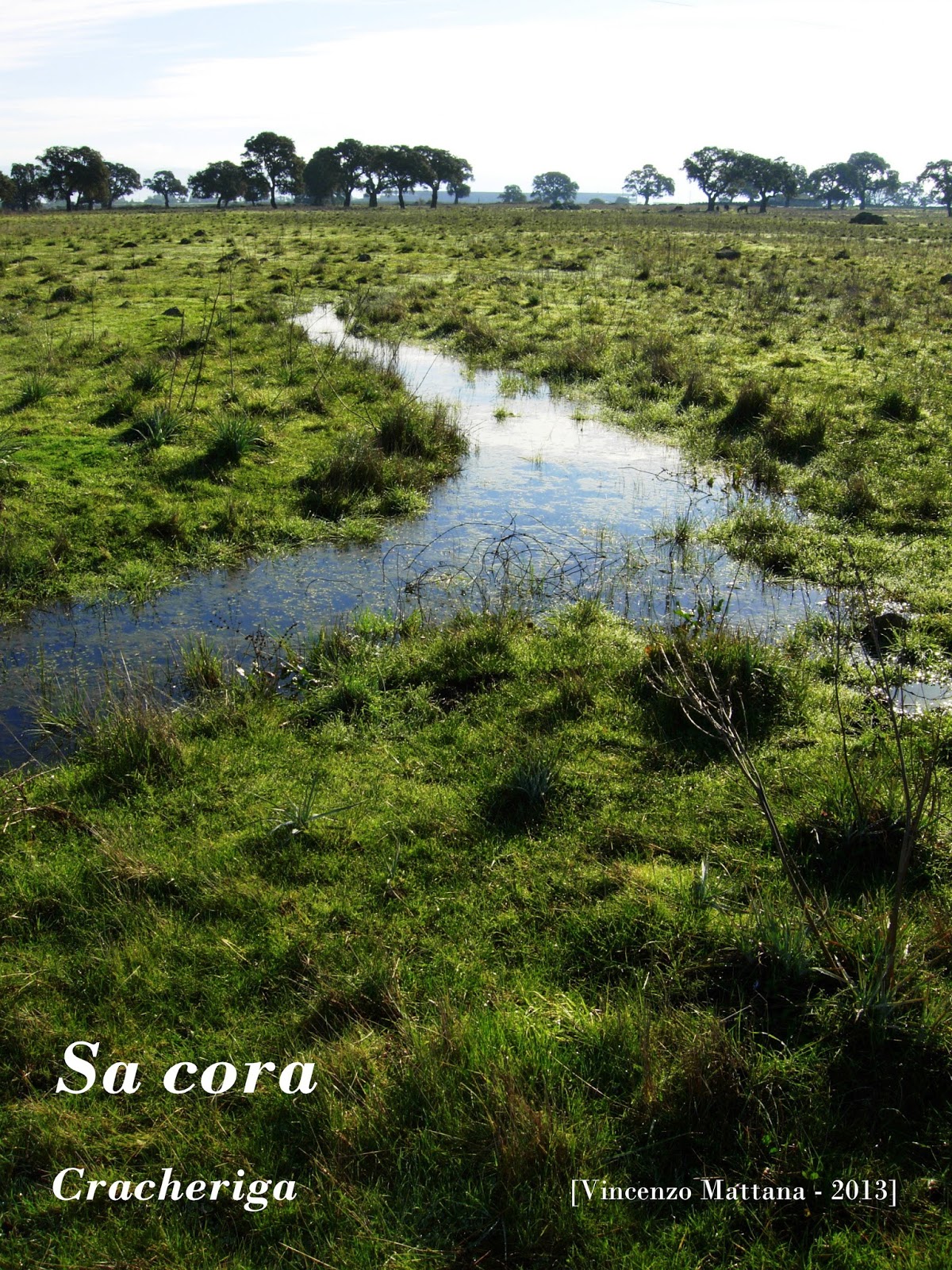 Abbasanta - le radici: 1545 - Sa cora