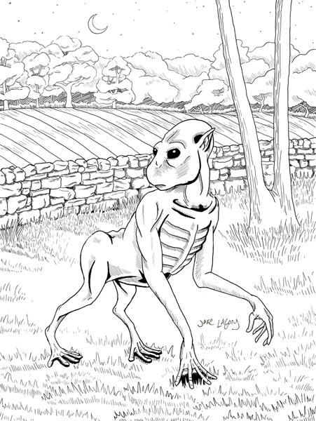 Jake LaGory- illustrator: Cryptozoology Coloring Book- The Dover Demon