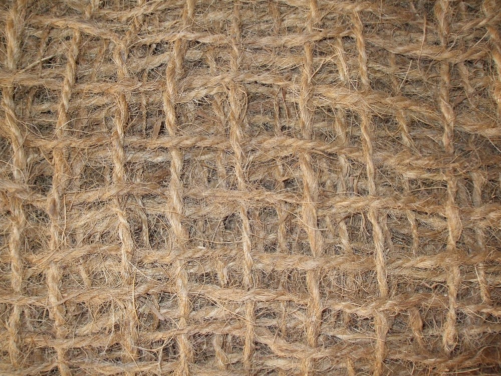 Coir Net: Home