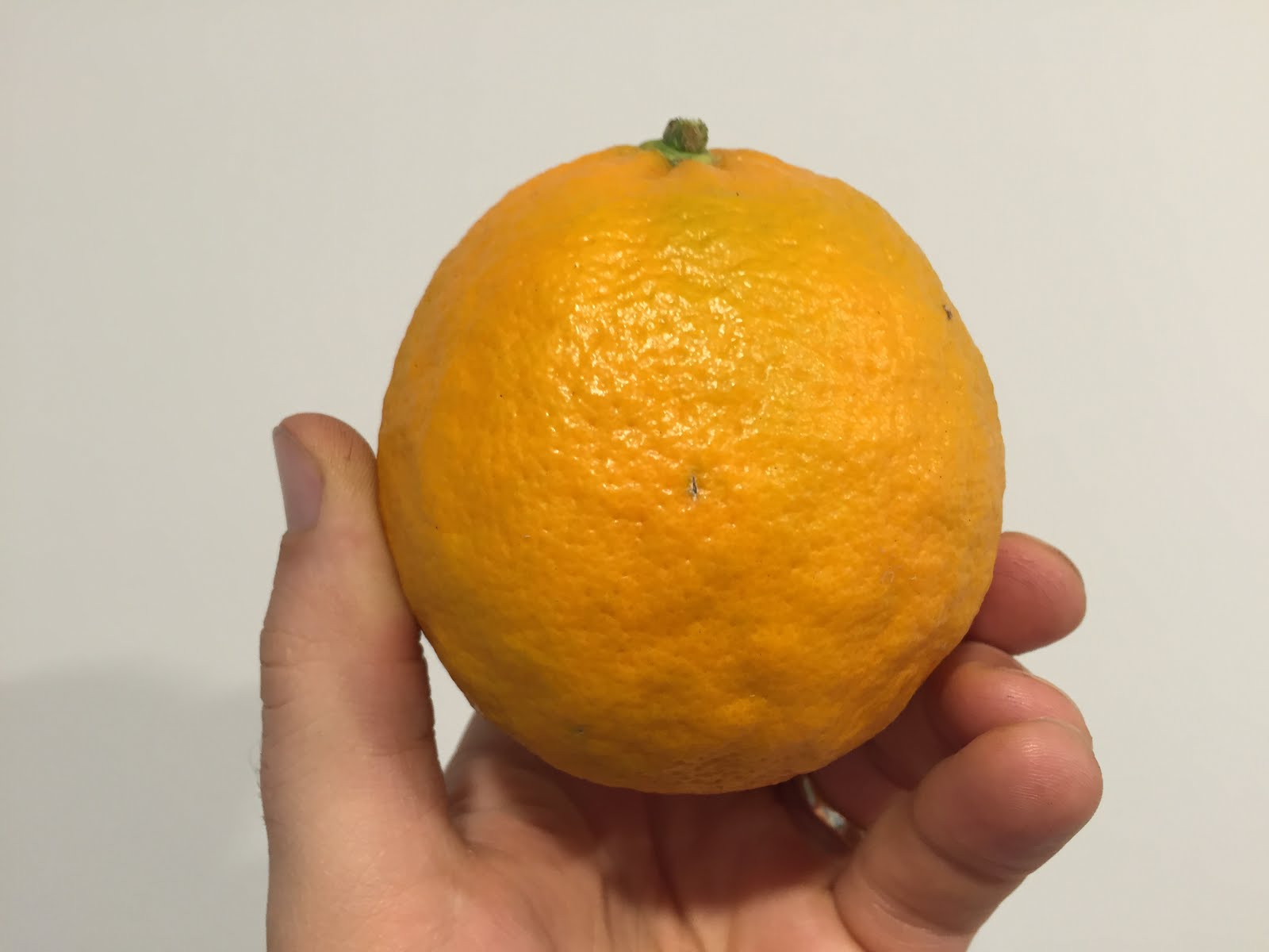 Citrus Enthusiast: Taste Test: Dweet Tangor.
