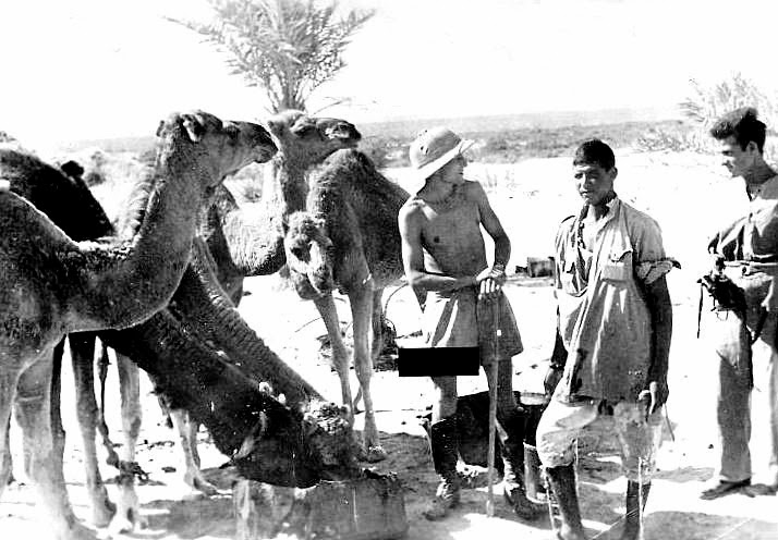 NAZI JERMAN: Foto Kamel (Unta) dan Tentara Jerman